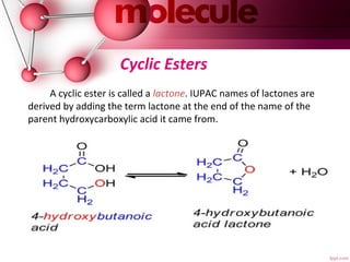 Ester Functional Group Examples