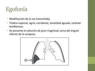 Estertores | PPTX