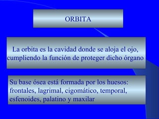 Anatomía de Ojo | PPT