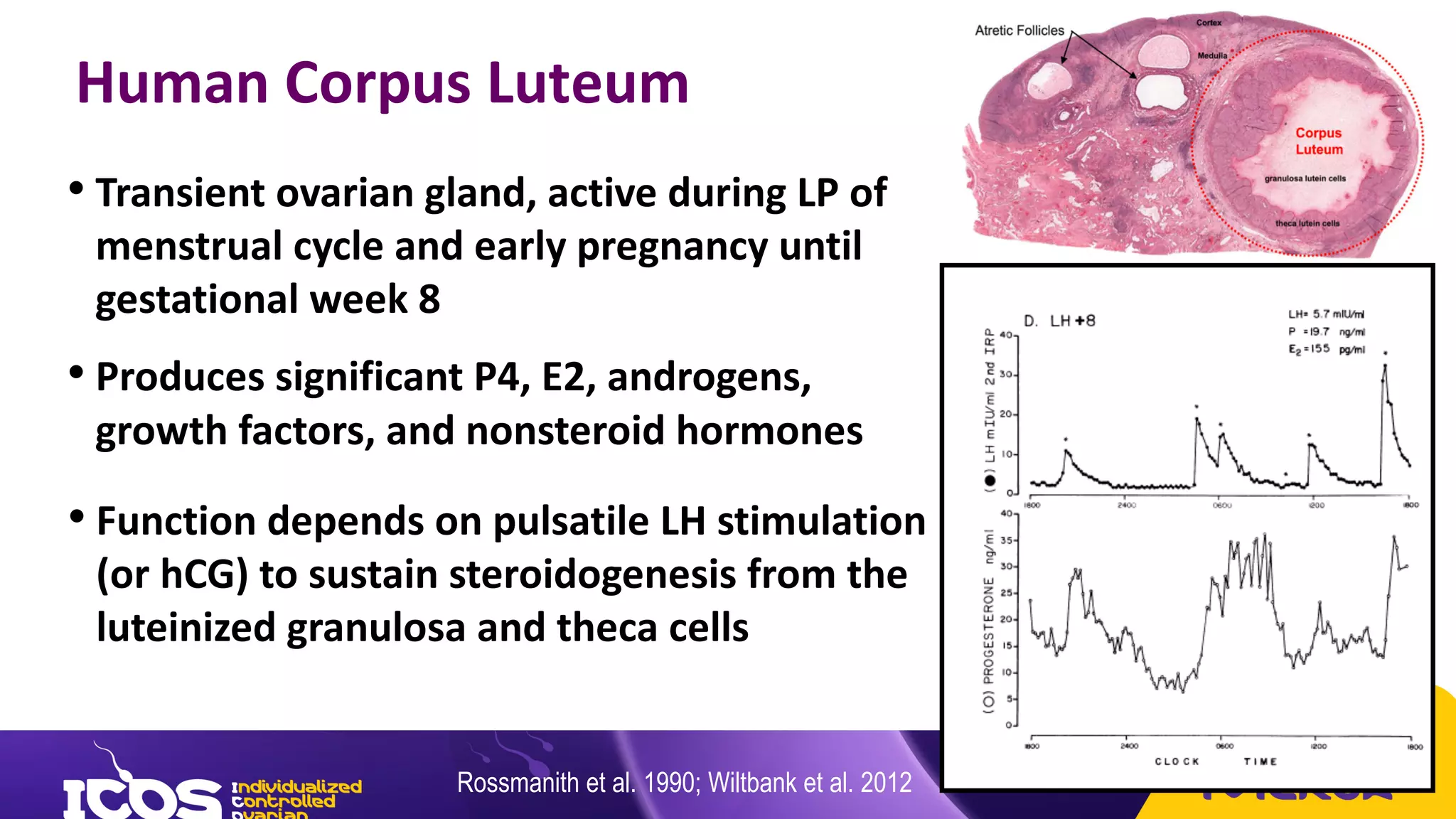 Luteal Phase Support: Key Variables to Achieve Success in ART | PDF