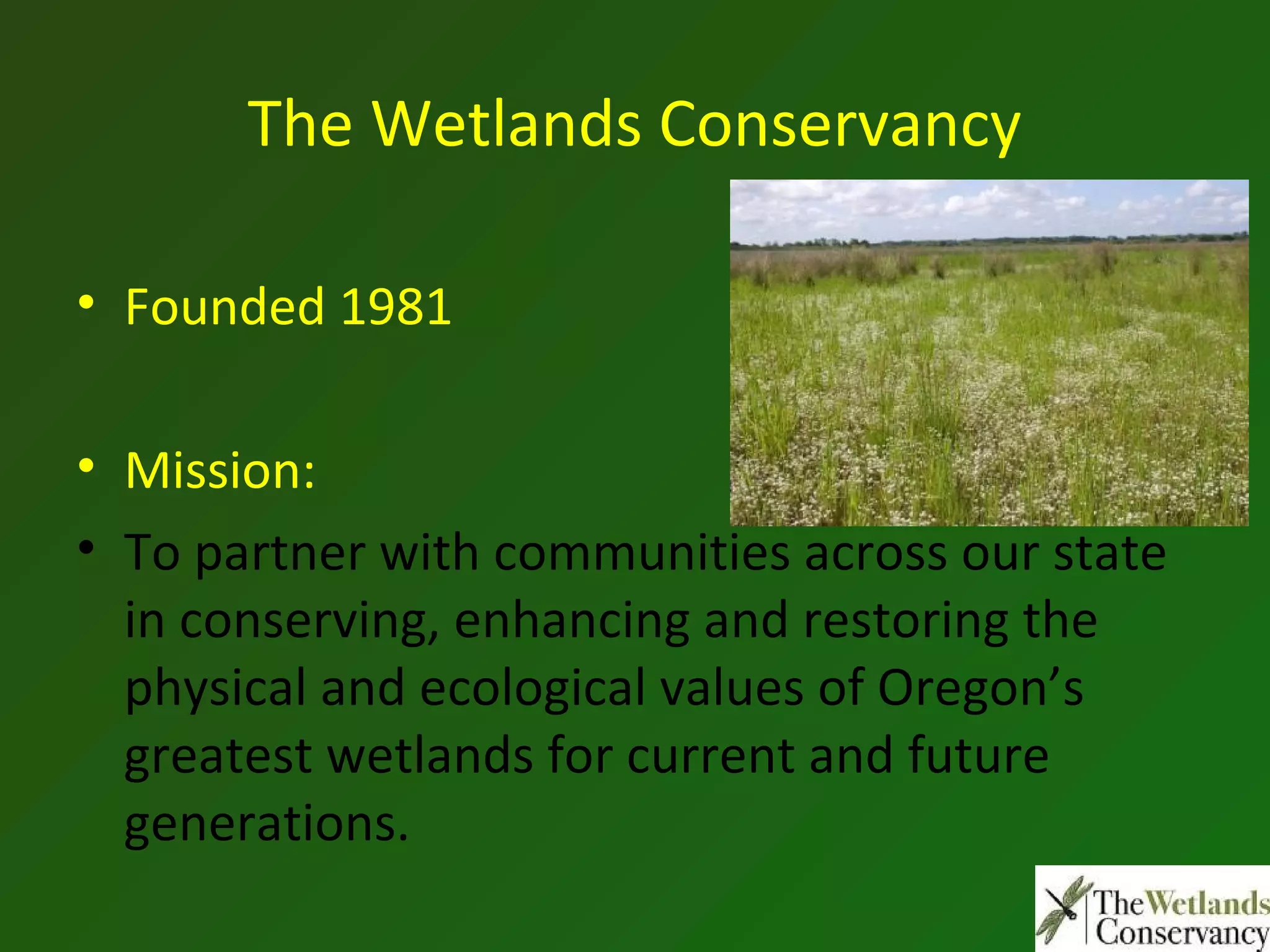 Esther Lev, Wetlands Conservancy | PPT