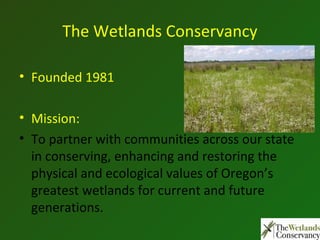 Esther Lev, Wetlands Conservancy | PPT