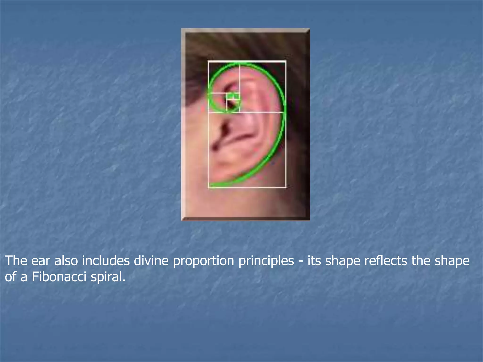 Esthetics in orthodontics | PPT