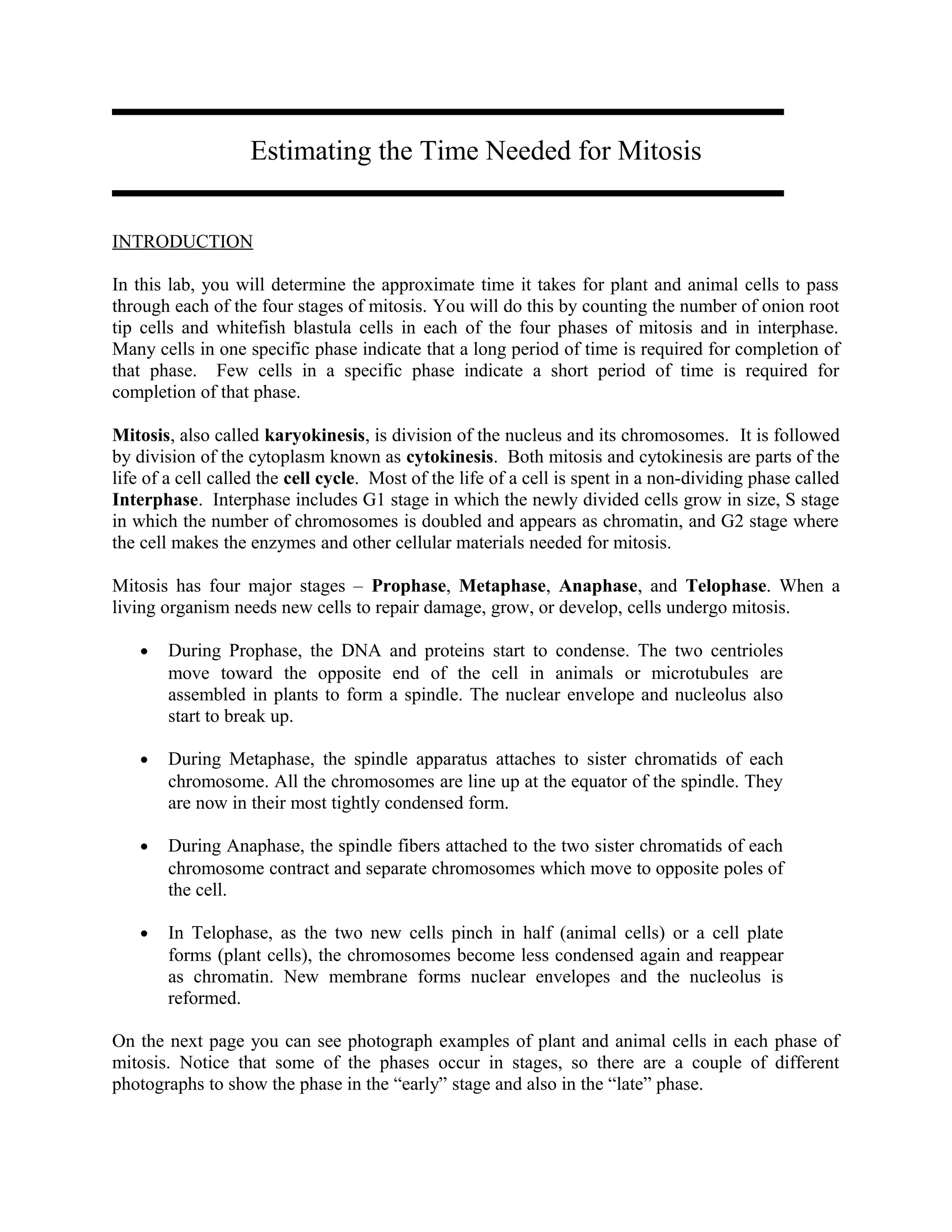 Estimating the-time-needed-for-mitosis | DOC