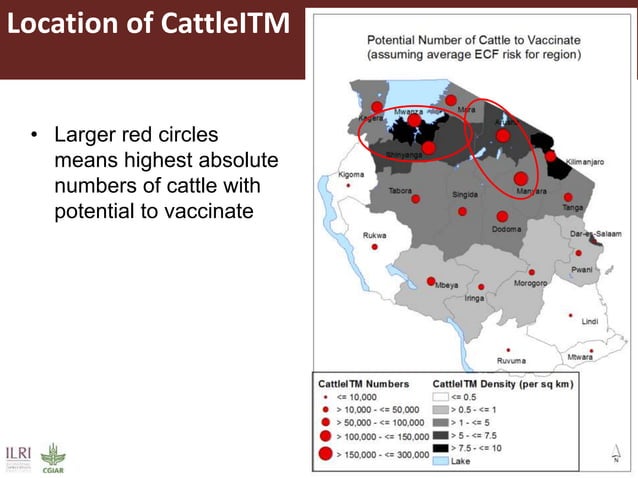 Potential areas to target ITM distribution: A GIS-based approach | PPT