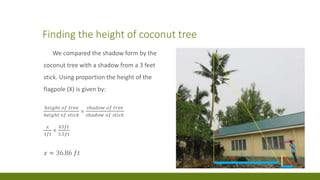 Measuring tall objects using clinometer, shadow, and mirror method | PPTX