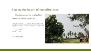 Measuring tall objects using clinometer, shadow, and mirror method | PPTX