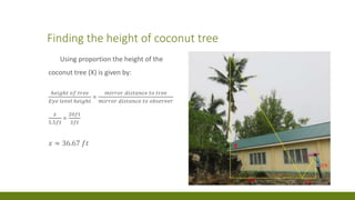 Measuring tall objects using clinometer, shadow, and mirror method | PPTX