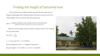 Measuring tall objects using clinometer, shadow, and mirror method | PPTX