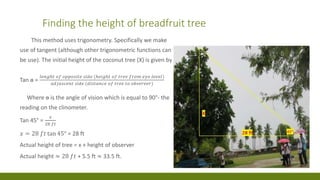Measuring tall objects using clinometer, shadow, and mirror method | PPTX