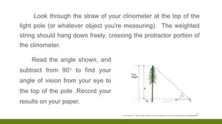 Measuring tall objects using clinometer, shadow, and mirror method | PPTX