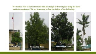 Measuring tall objects using clinometer, shadow, and mirror method | PPTX
