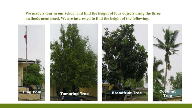 Measuring Tall Objects Using Clinometer Shadow And Mirror Method Pptx