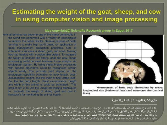 Estimating the weight of the goat, sheep, and cow using computer vision ...