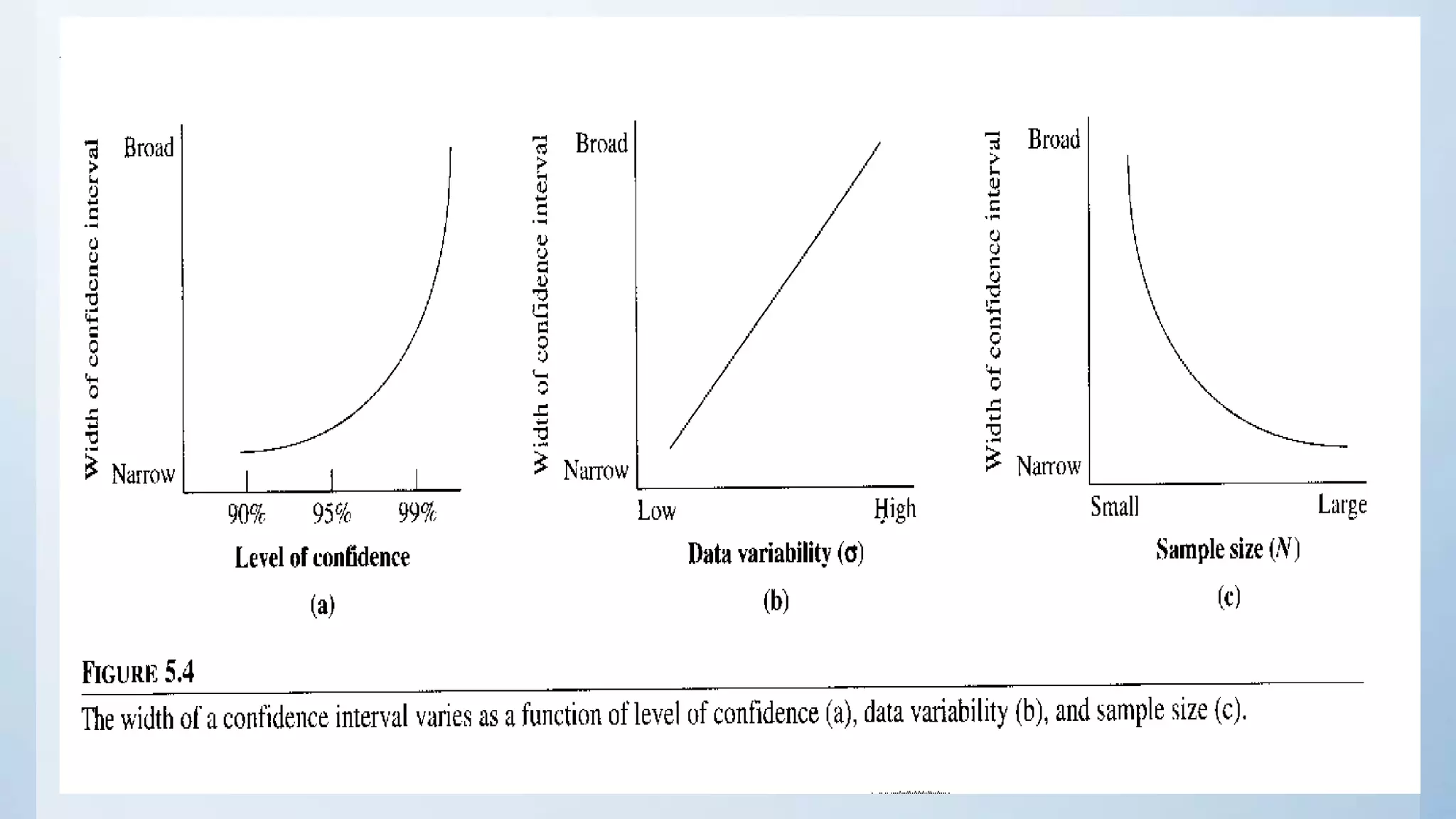 Estimation and hypothesis | PPTX