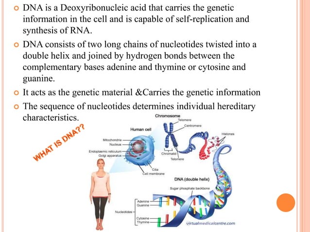 Estimation of dna by diphenylamine method | PPTX | Chemistry | Science