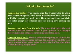 Estimation of Evapotranspiration.pdf