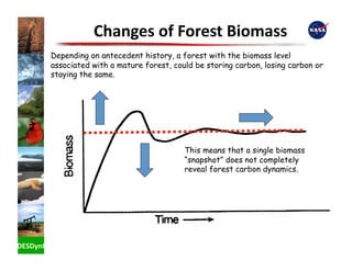 WE1.L09.5 - ESTIMATION OF FOREST BIOMASS CHANGE FROM FUSION OF RADAR ...