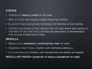 Estimation of hair index from human hair | PPT
