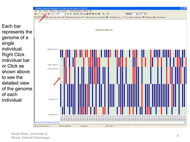 Estimation Of Linkage Disequilibrium Using Ggt2 Software Ppt Genetics Science