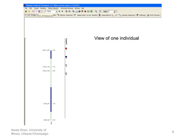 Estimation Of Linkage Disequilibrium Using Ggt2 Software Ppt Genetics Science
