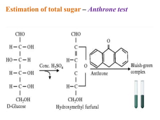 Estimation of reducing and non reducing sugar | PPTX