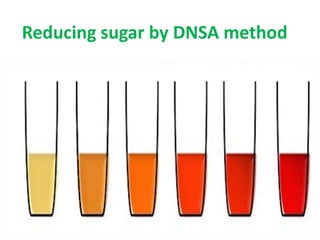 Estimation of reducing and nonreducing sugars | PPTX
