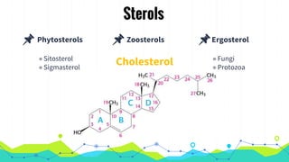 Estimation of Serum Cholesterol and HDL | PPTX