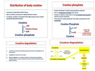 Estimation of serum creatinine.pptx