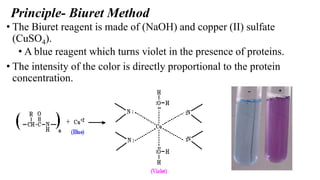 Estimation of serum total protein | PPTX
