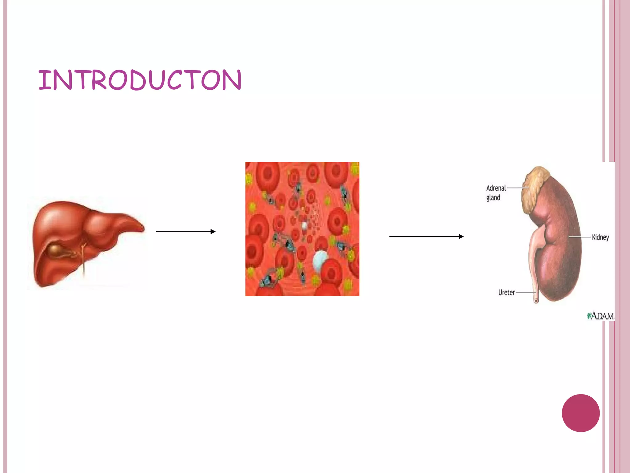 Estimation of serum urea | PPT