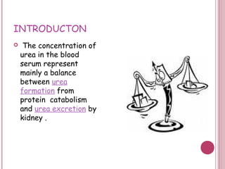 Estimation of serum urea | PPT