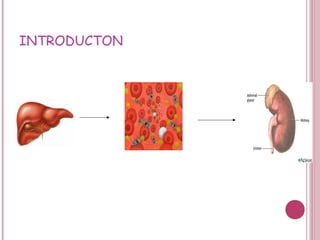 Estimation of serum urea | PPT
