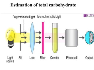Estimation of total carbohydrate | PPTX