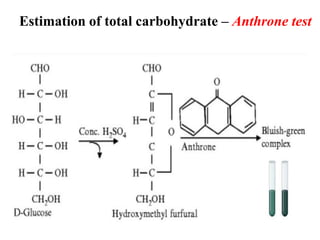 Estimation of total carbohydrate | PPTX