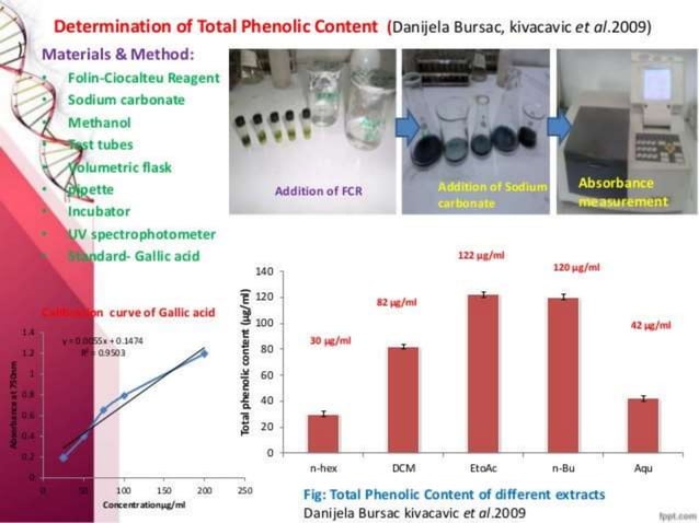 Estimation of total phenols | PPTX | Chemistry | Science