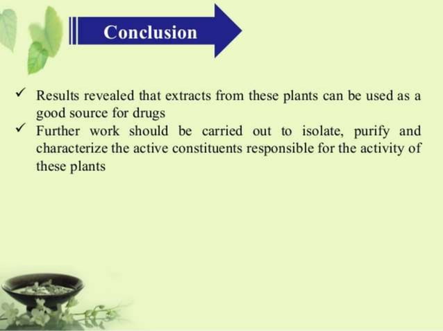 Estimation of total phenols | PPTX | Chemistry | Science