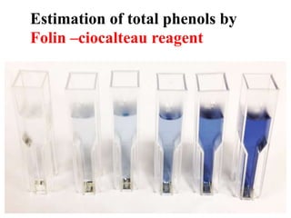Estimation of total phenols | PPTX