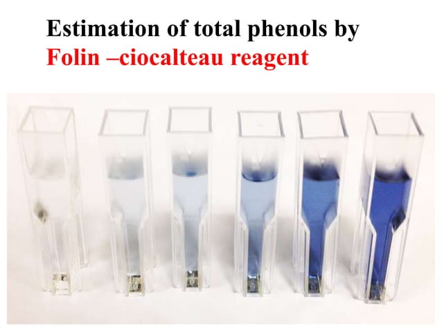 Estimation of total phenols | PPTX | Chemistry | Science