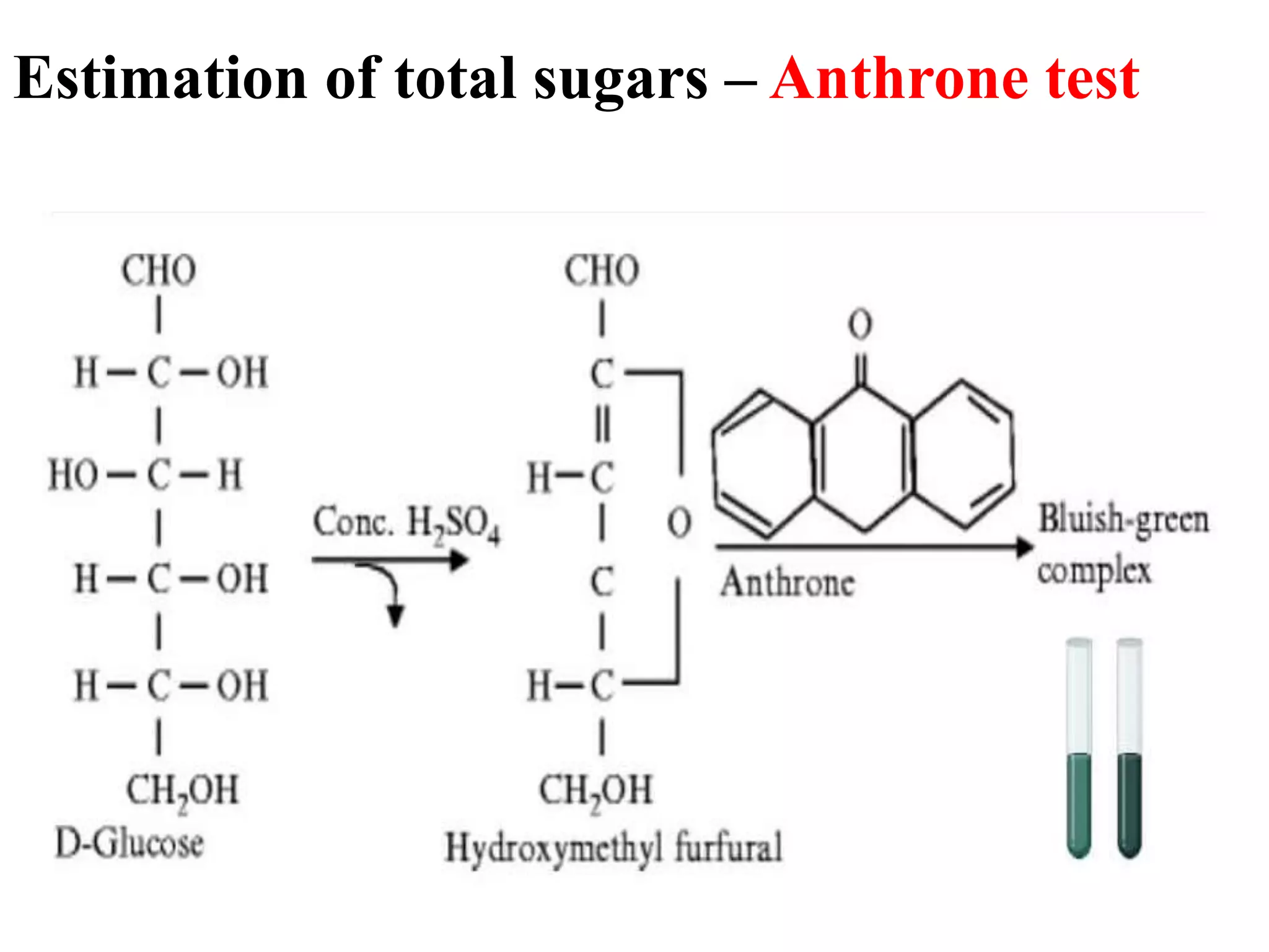 Estimation of total sugars | PPTX