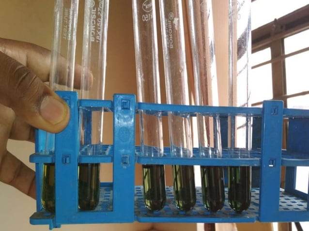 Estimation of total sugars | PPTX | Chemistry | Science