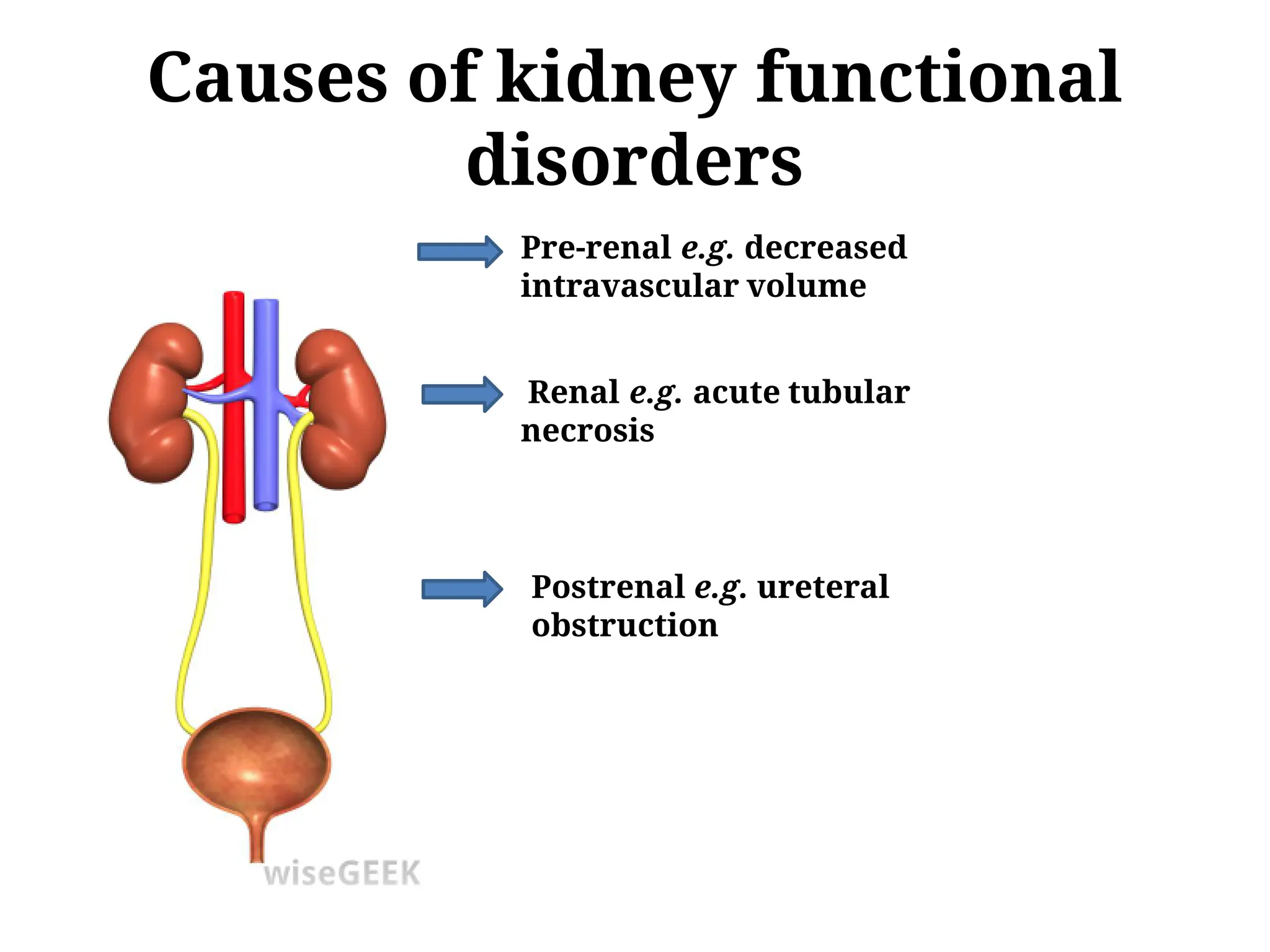 ESTIMATION OF Urea this shows how we find urea levels | PDF