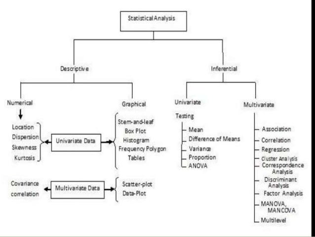Statistical Estimation