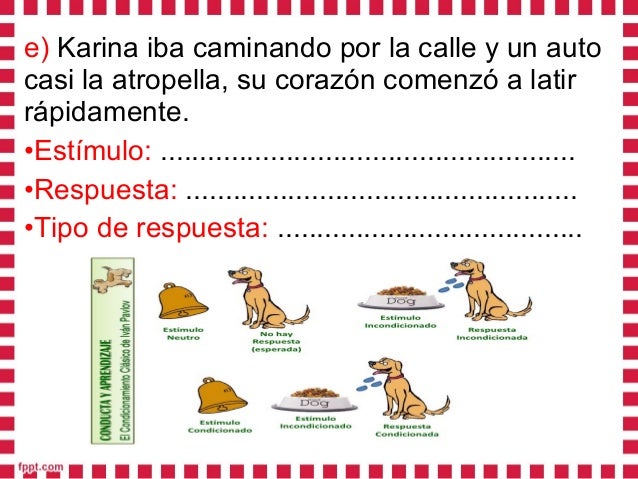 Estimulo respuesta práctica