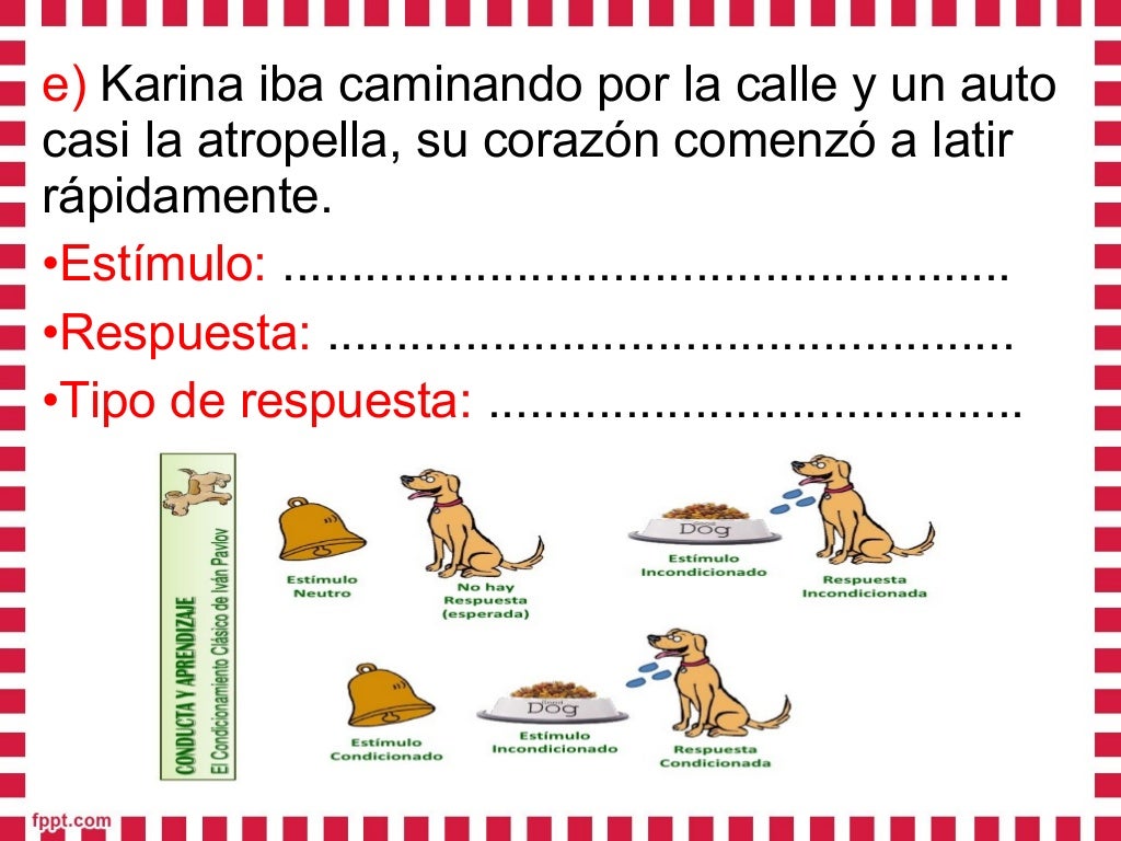 Estimulo respuesta práctica