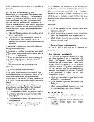 Estimulos | PDF