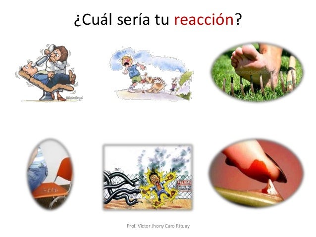 Estimulo y reaccion