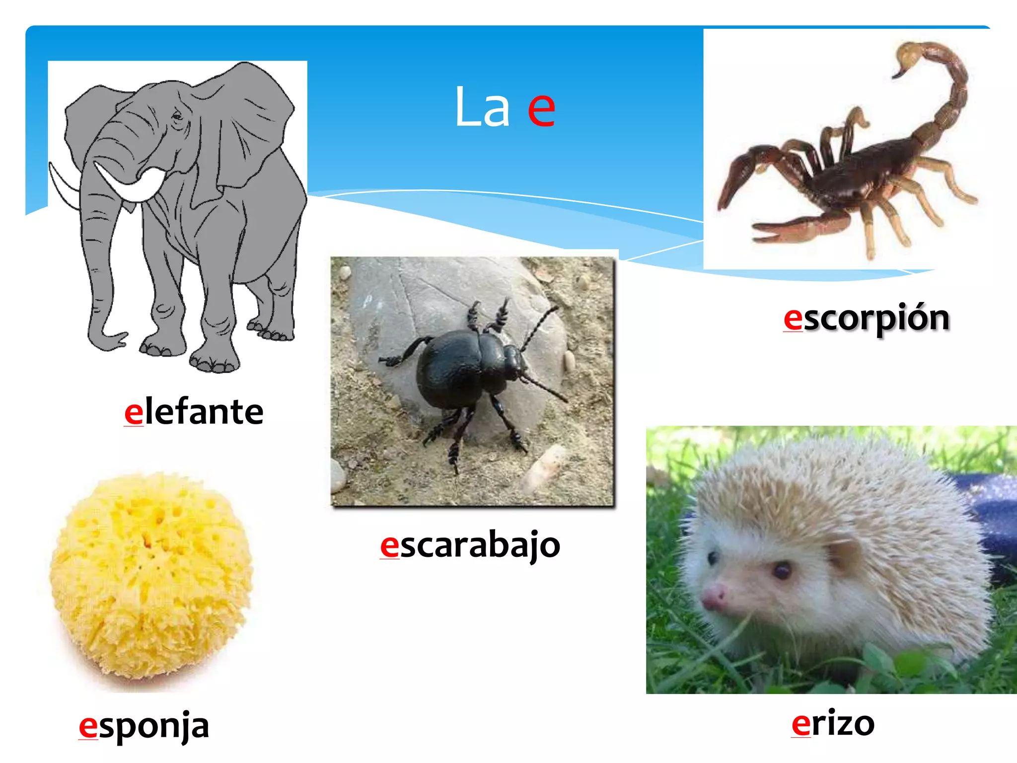 Estáis listos para aprender las vocales | PPT