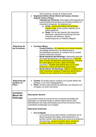 ANATOMIA DEL ESTÓMAGO, RESUMEN- LATARJET | DOCX
