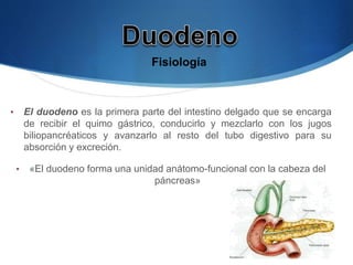 Estómago-y-Duodeno.pptx